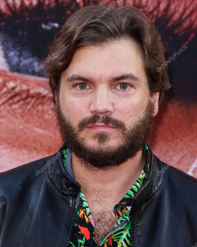 El actor estadounidense Emile Hirsch llega al estreno en Los Ángeles de ...