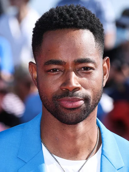 Bilder eichelhäher Stock Photos, Royalty Free Bilder eichelhäher Images ...