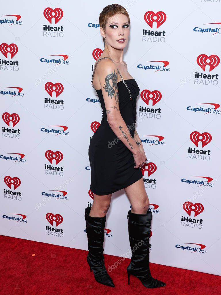 Halsey (Ashley Nicolette Frangipane) posa en la sala de prensa en el ...