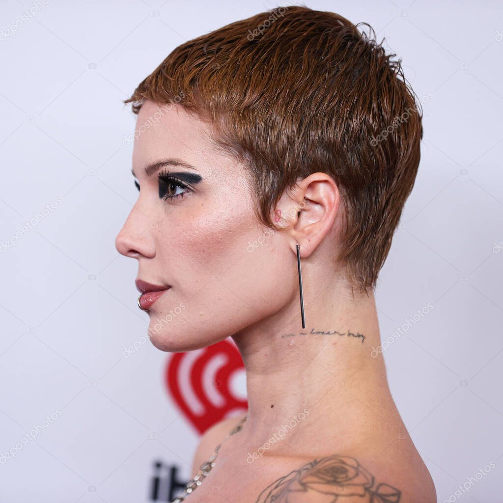 Halsey (Ashley Nicolette Frangipane) posa en la sala de prensa en el ...
