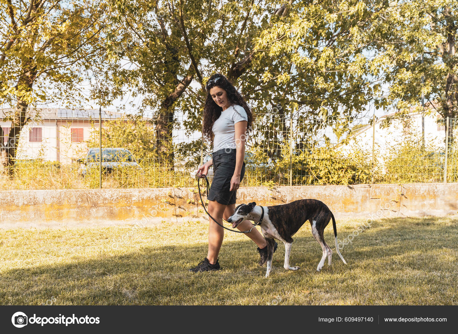 Hermosa Entrenadora Perros Está Entrenando Perro Parque Aire Libre ...