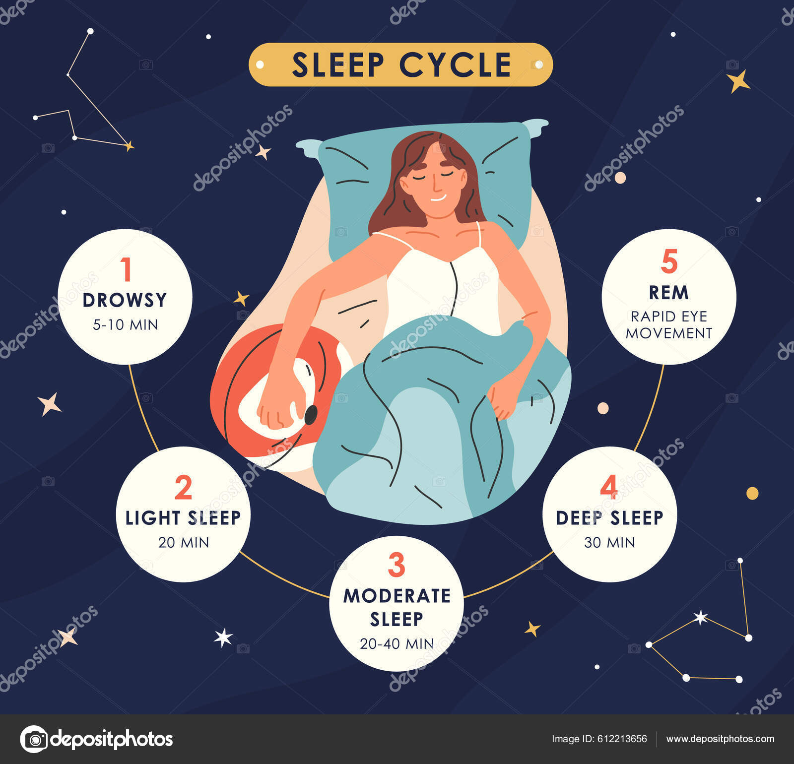 Sleep Cycles Infographic Nighttime Resting Stages Healthy Sleep Phases ...