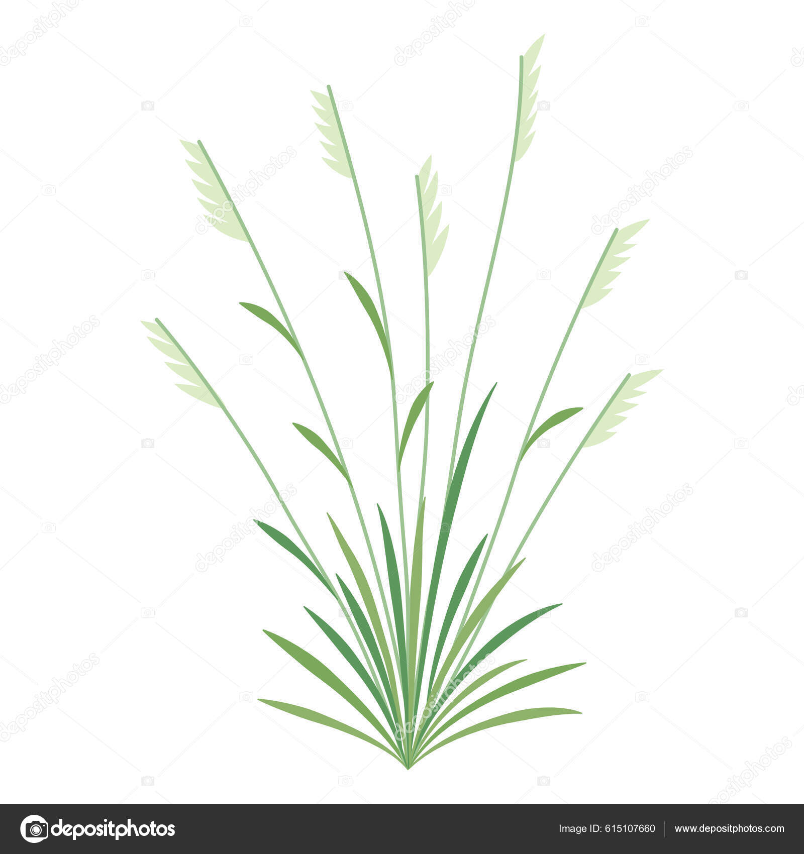 Green Grass Stands Firm Garden Grass Flat Design Stock Vector by ...
