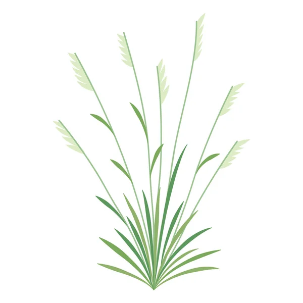 100,000 Switchgrass Vector Images | Depositphotos