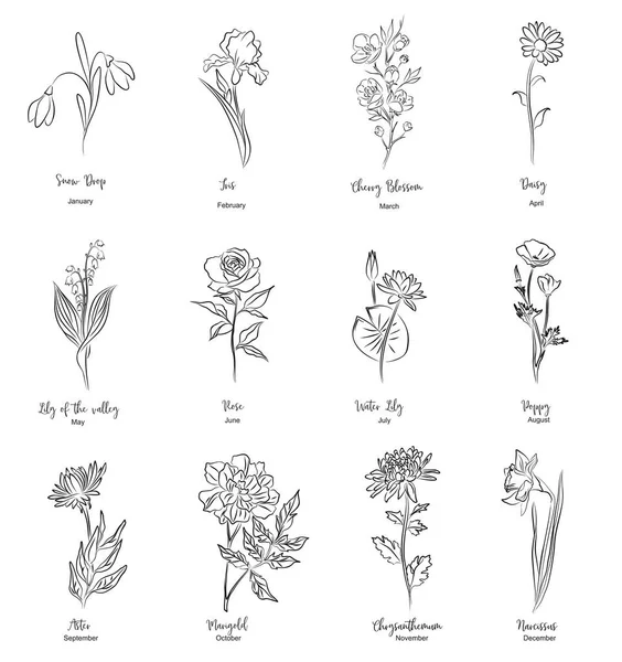 4,865 Birth flower Vector Images | Depositphotos