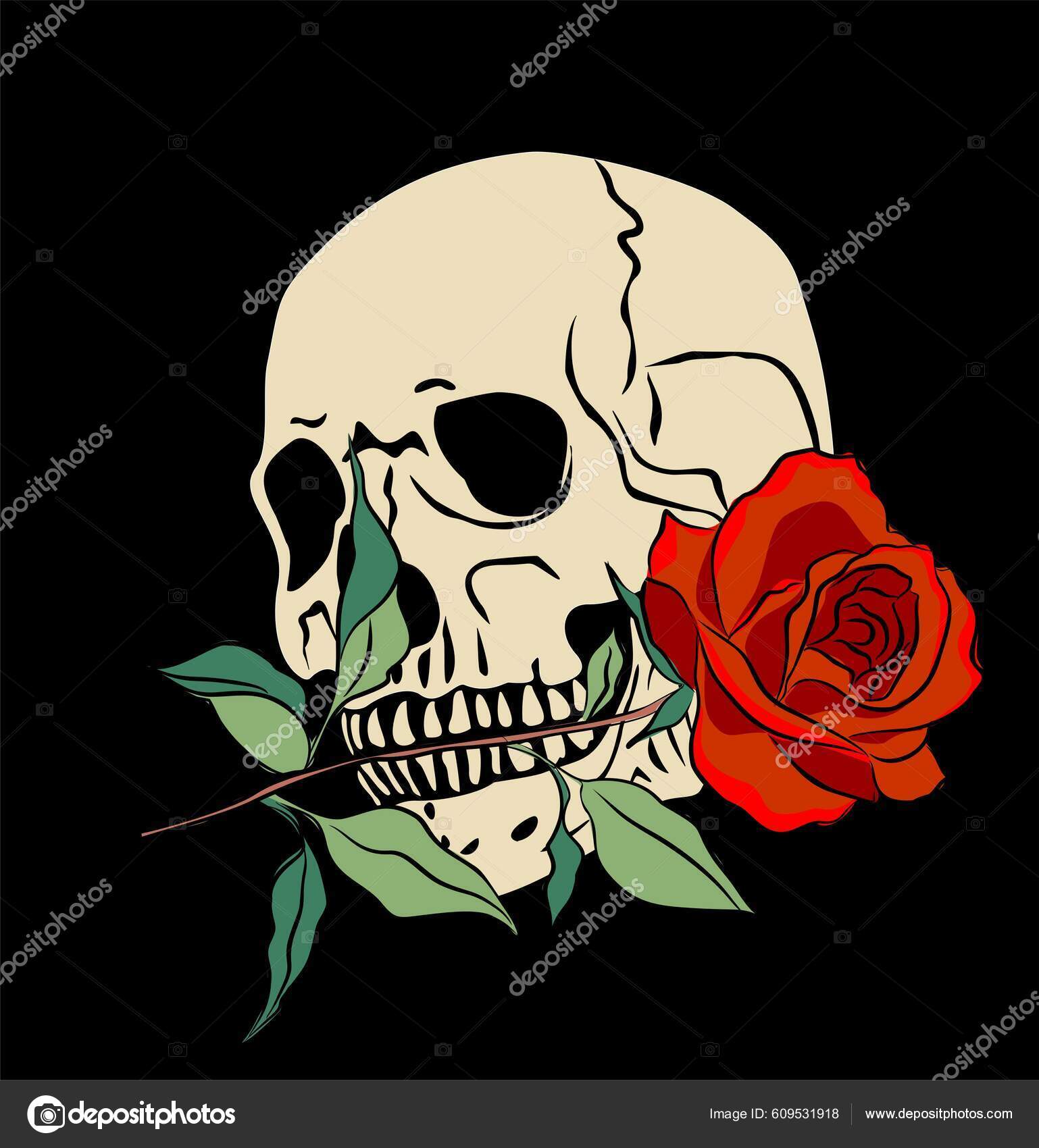 Human Skull Holding Red Rose His Teeth Horror Graphic Vector Stock ...