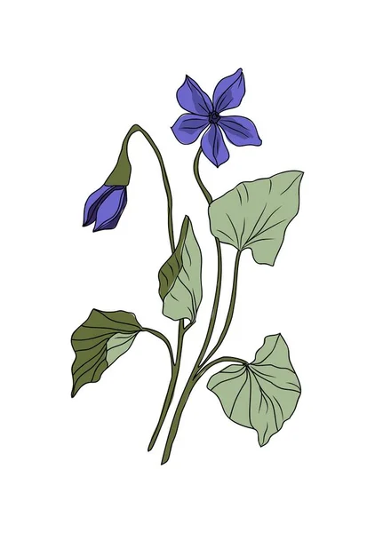 13,437,948 Birth month flower Stock Illustrations | Depositphotos