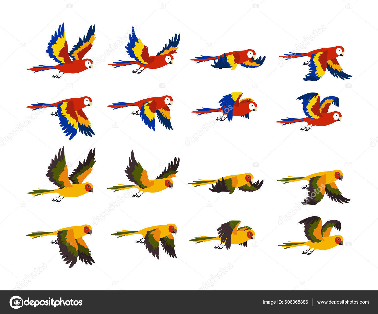 Colorful Tropical Parrots Flying Cartoon Illustration Set Sequence ...