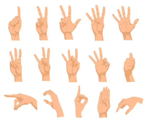 Human Hand Gestures Set Arms Wrists Amount Signs Open Palm Stock Vector by ©pch.vector 606125830