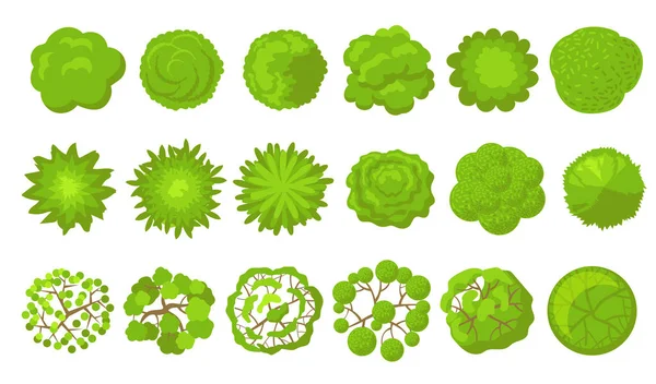 Tree birdseye view Vector Art Stock Images | Depositphotos