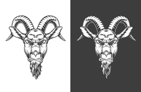 Goat Horns Drawing