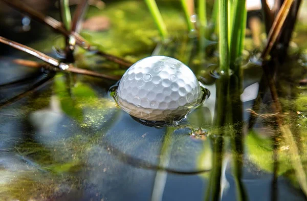 Golf ball in water Stock Photos, Royalty Free Golf ball in water Images ...