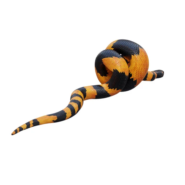 Serpent oiseau images libres de droit, photos de Serpent oiseau ...