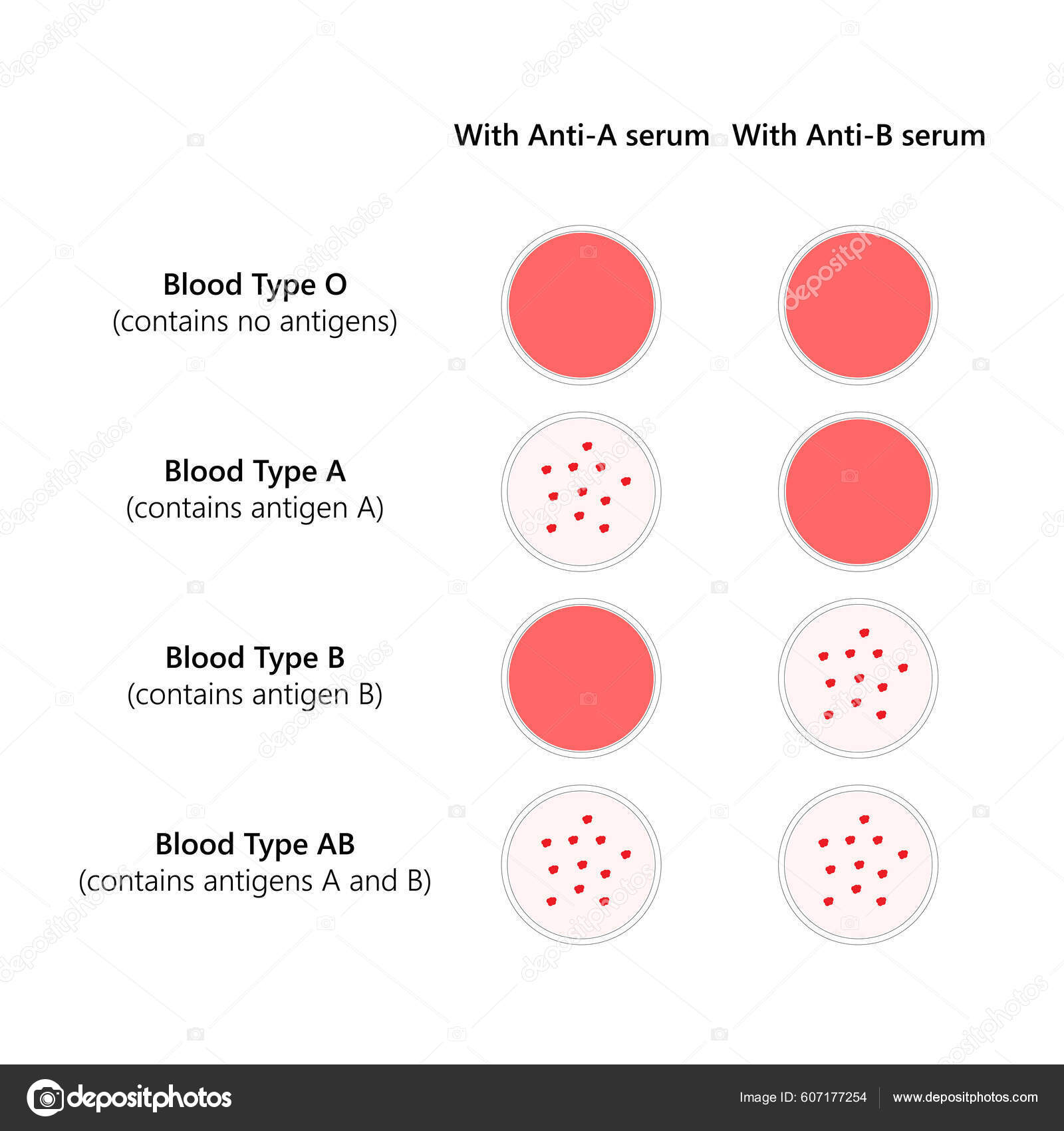 Tipagem Sanguinea Abo Rh - FDPLEARN