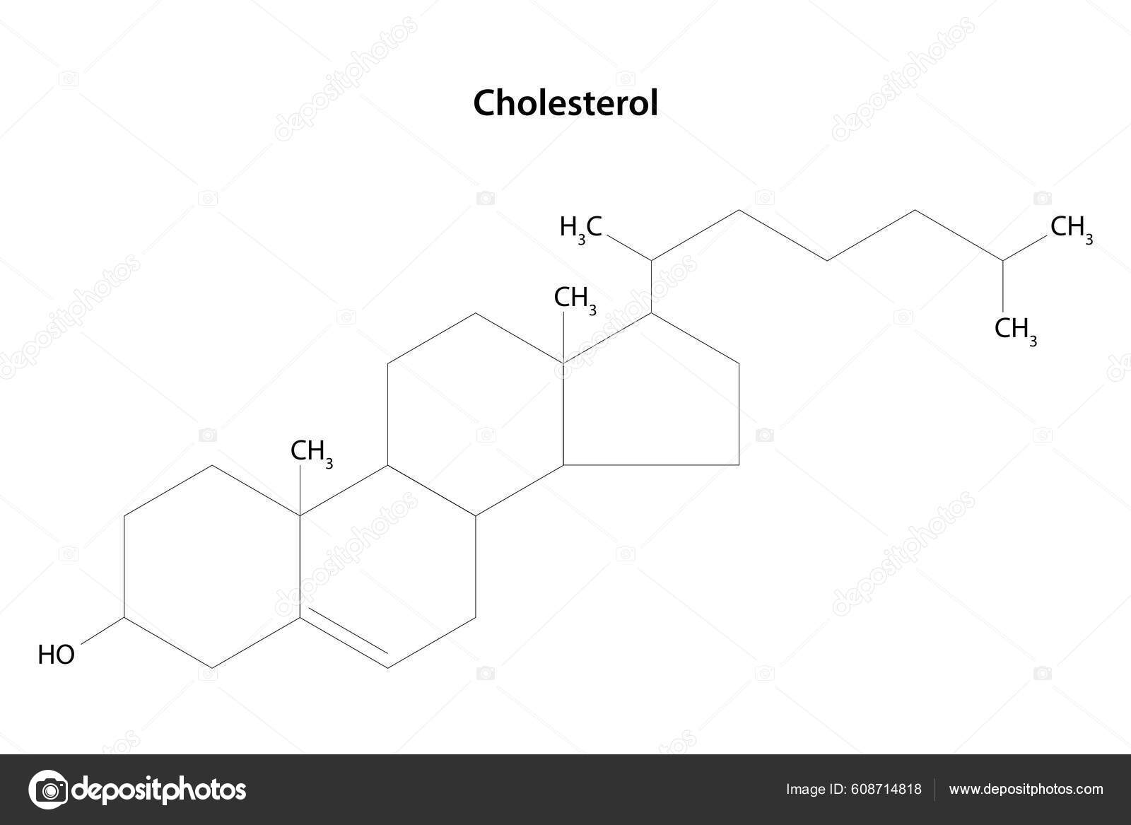 Molécula Colesterol Fórmula Estrutural Componente Essencial Das ...