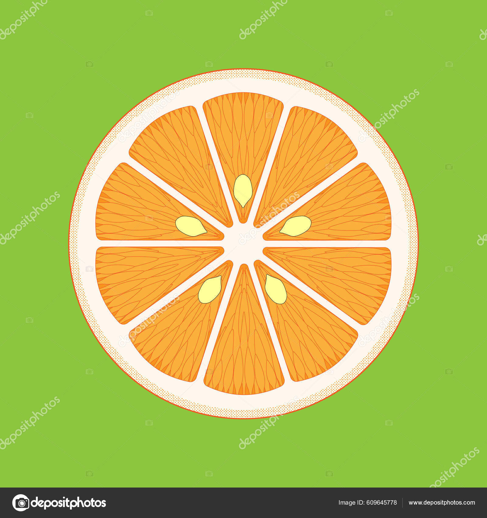 Fruta Naranja Hesperidio Ilustración Vectorial Vector de stock por ...