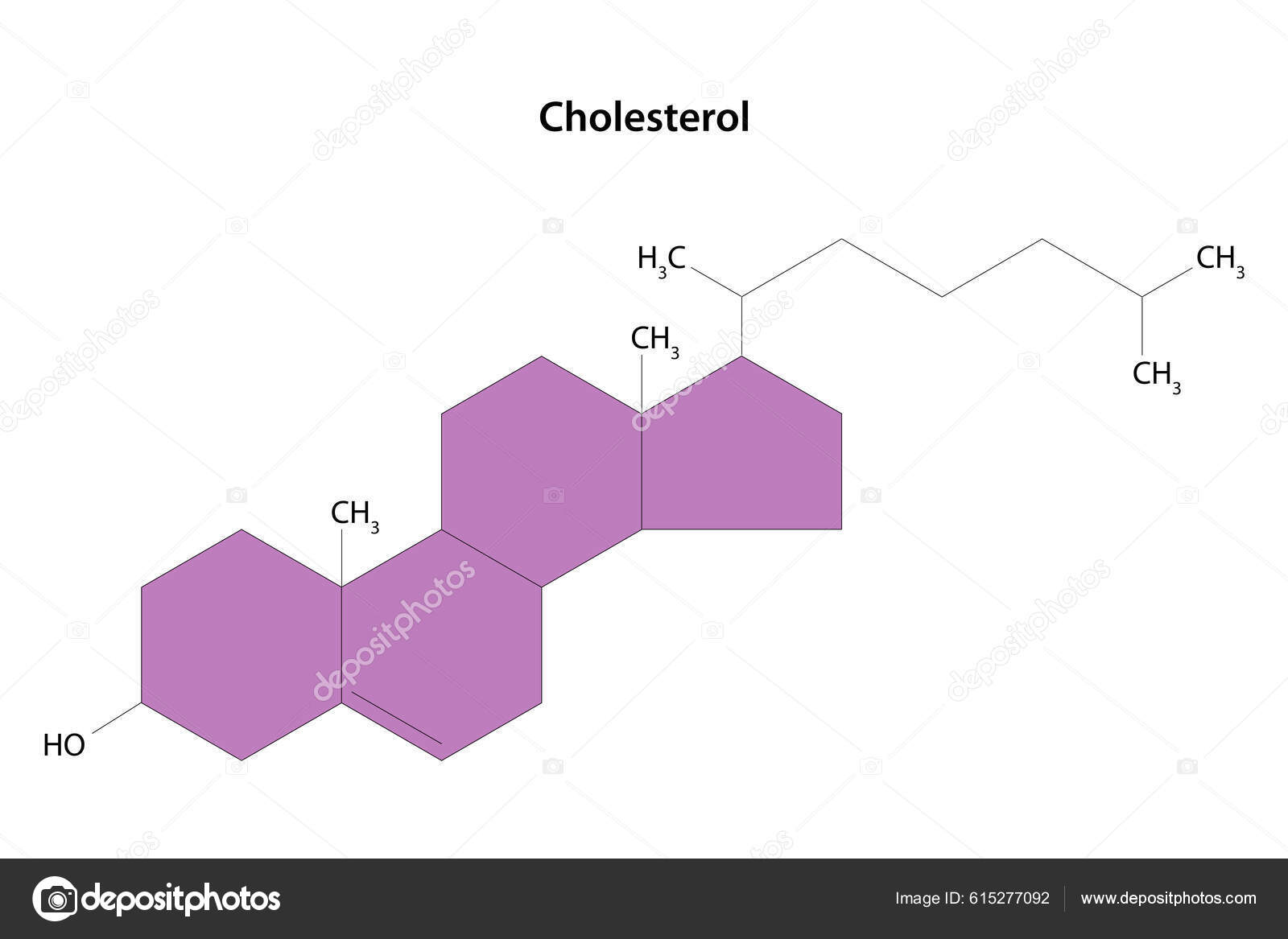 Cholesterol Molecule Structural Formula Essential Component Cell ...