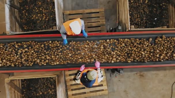 12,015 Tri Videos, Royalty-free Stock Tri Footage | Depositphotos