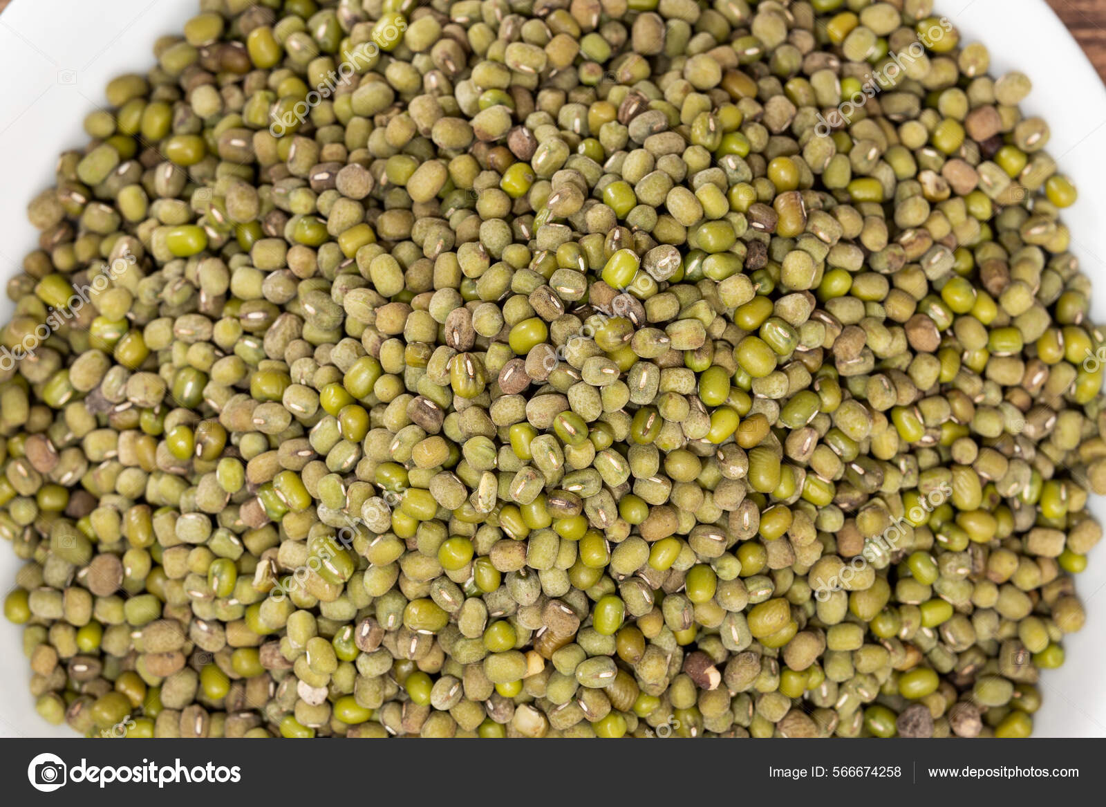 Vigna Radiata Raw Organic Green Mung Beans — Stock Photo ...