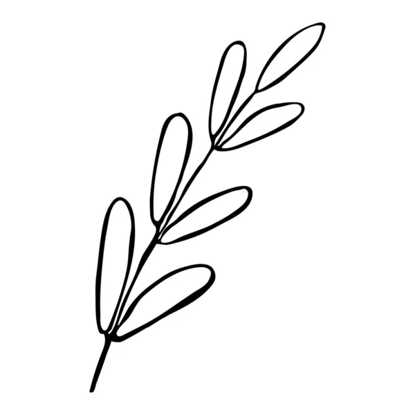 28,814,861 Plant outline Vector Images | Depositphotos