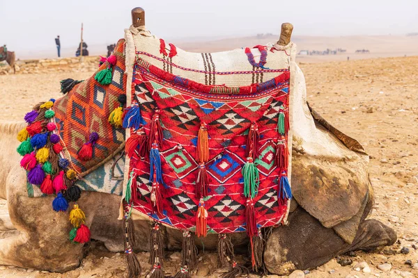 Camel salesman Stock Photos, Royalty Free Camel salesman Images ...