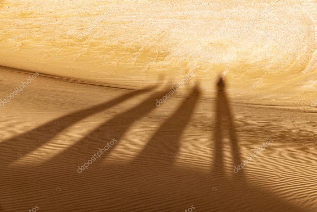 Wadi al Hitan, Faiyum, Egipto. Sombras en el desierto en el sitio ...