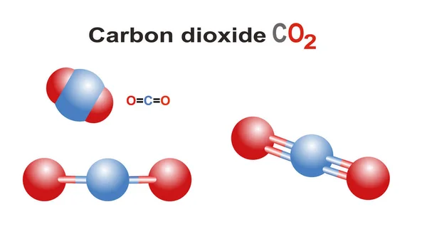 Co2 Atom Model