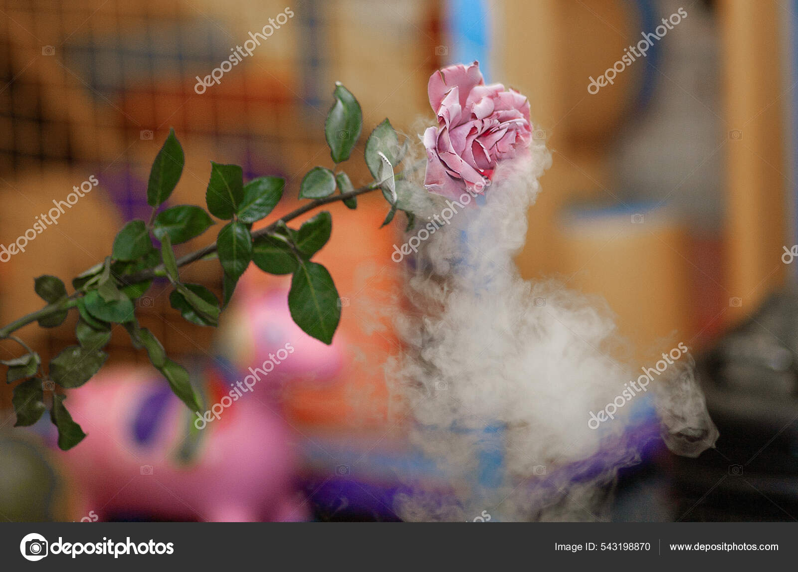 Beautiful Red Rose Liquid Nitrogen Smoke Flower Petals — Stock Photo ...
