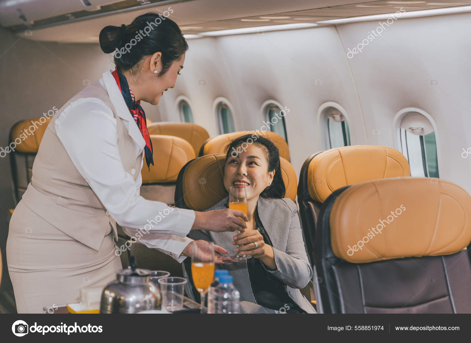 Air Hostess Flight Cabin Crew Serve Food Drink Service Passenger ...