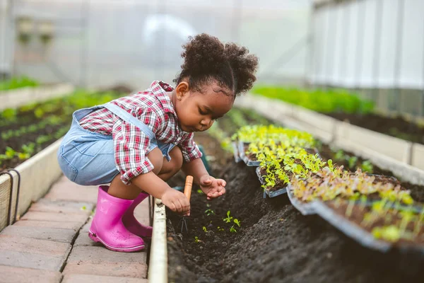 Child planting Stock Photos, Royalty Free Child planting Images ...