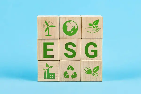 ESG Palabras en cubos de madera. Concepto ESG de medio ambiente, social ...