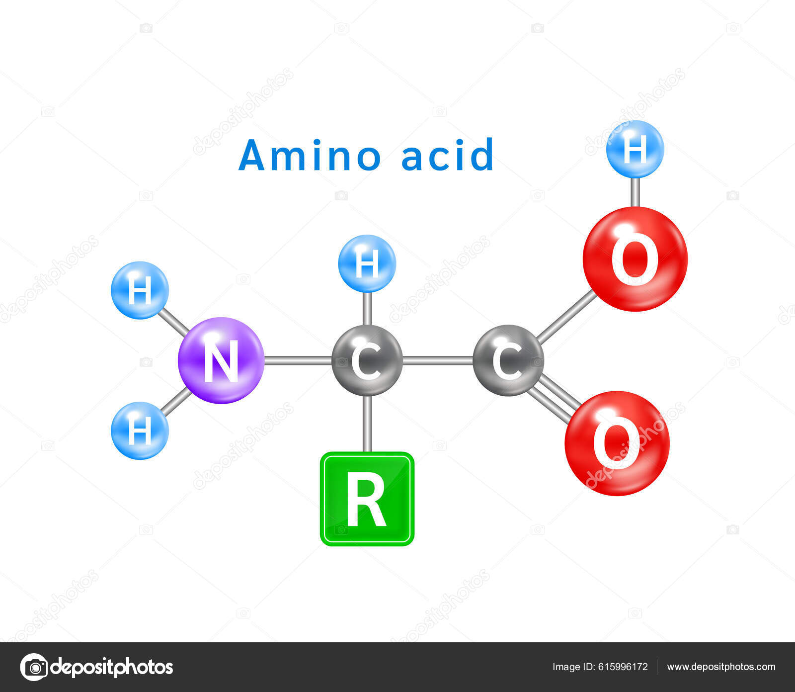 Struktura Symbolu Alfa Aminokyselin Aminokyselina Strukturní Chemický ...