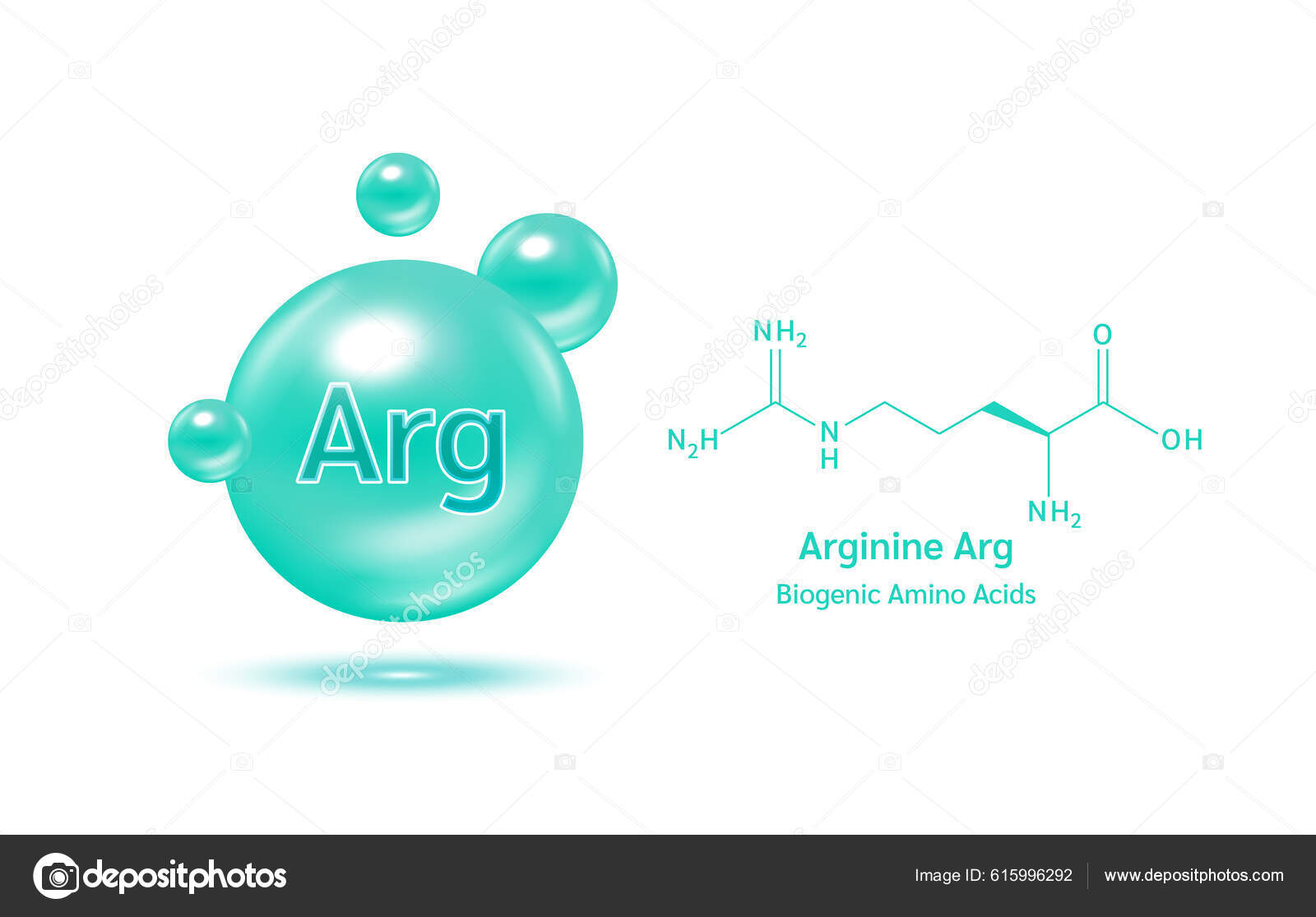 Structure Of Arginine