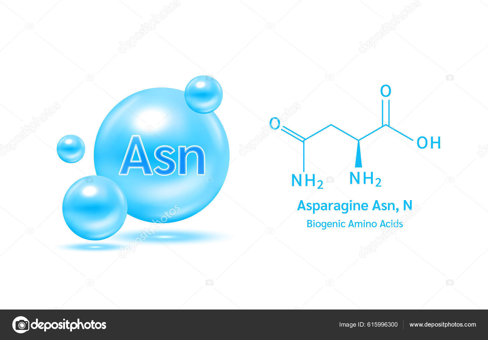 Important Amino Acid Asparagine Structural Chemical Formula Line Model ...
