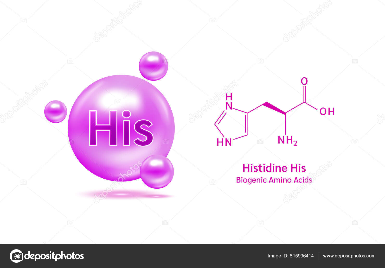 Important Amino Acid Histidine Structural Chemical Formula Line Model ...