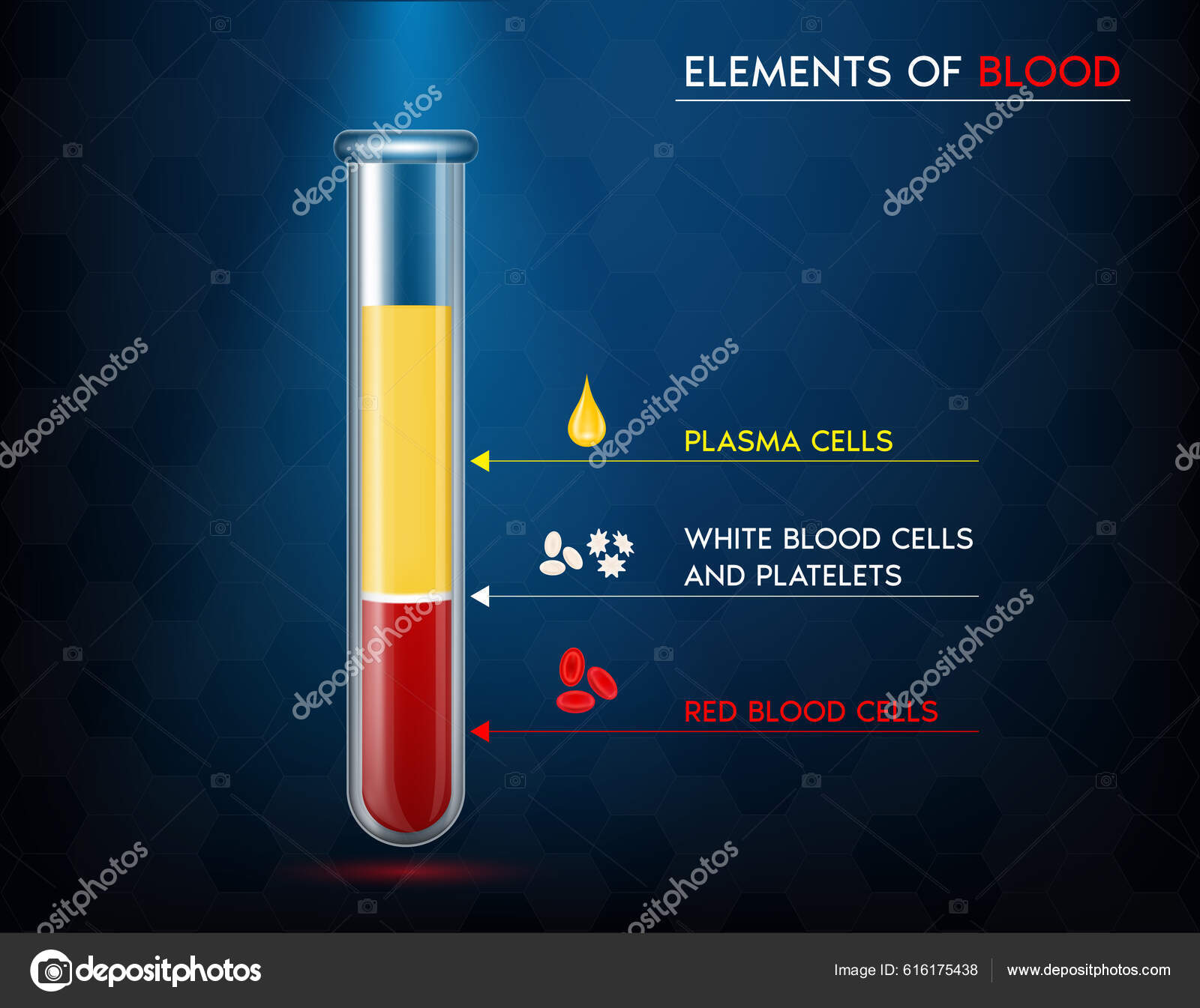 Elementos Sangue Sangue Vermelho Plasma Sangue Branco Plaquetas⭕ ...