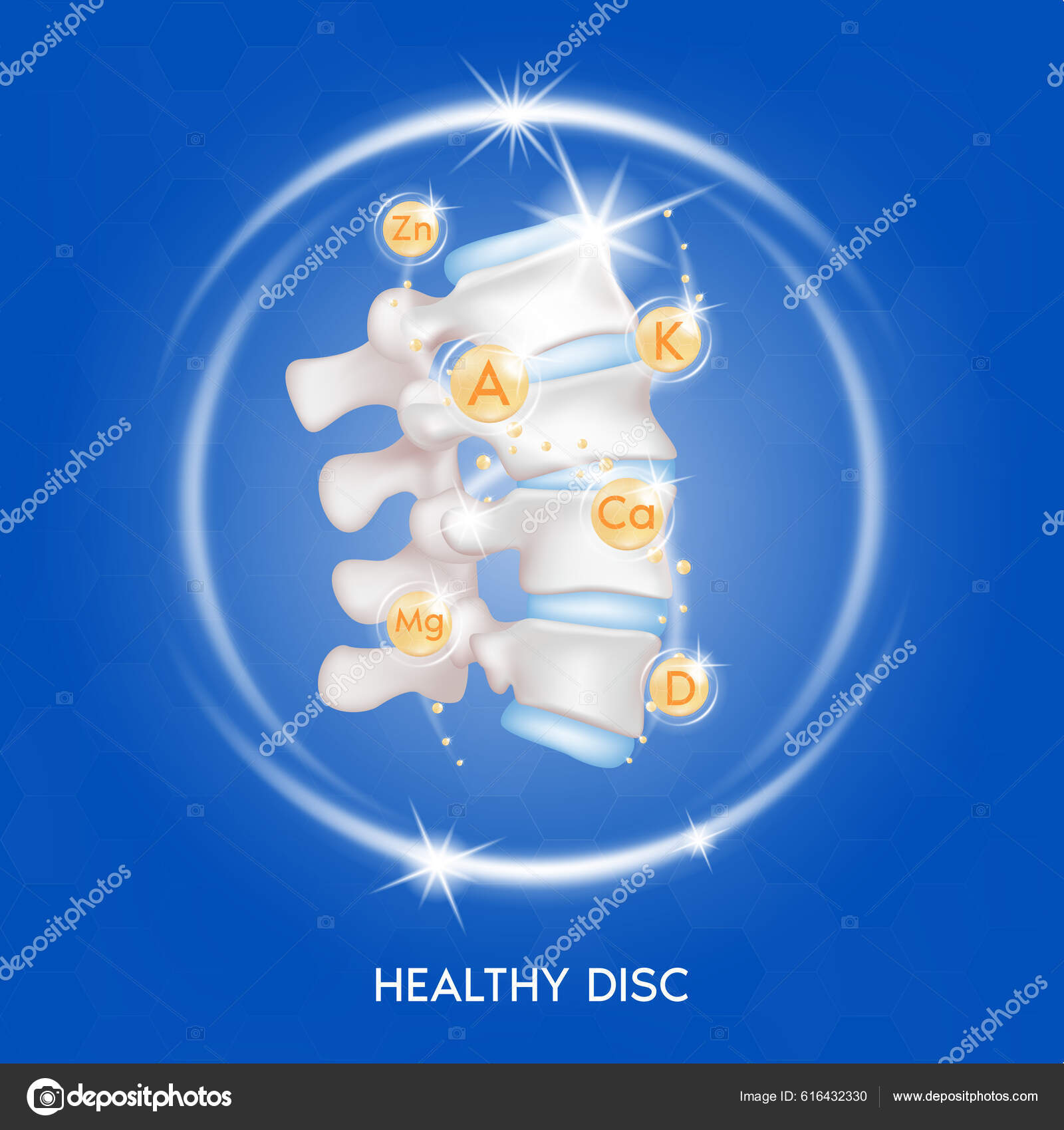 Normal Backbone Healthy Disc Skeleton Ray Scan Concept Vitamin Therapy ...