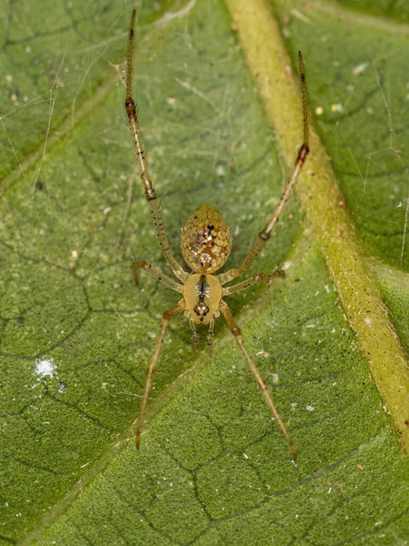 Ženský akt stock fotografie, royalty free Ženský akt obrázky ...