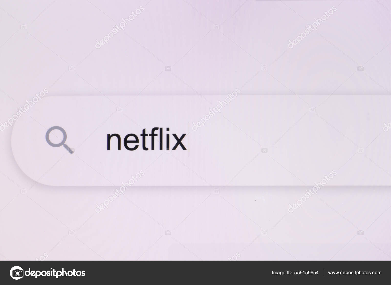 Searching for netflix in an Internet search engine on a computer ...