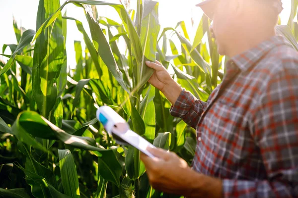 Field inspection Stock Photos, Royalty Free Field inspection Images ...