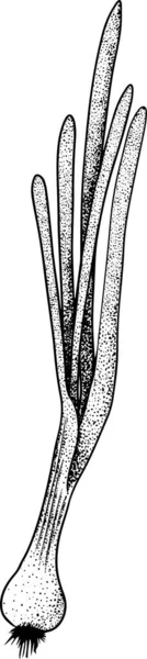 Gambar kartun ikan duri Stock Photos, Royalty Free Gambar kartun ikan ...