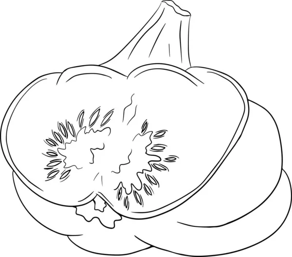 100,000 Cashew drawing Vector Images | Depositphotos