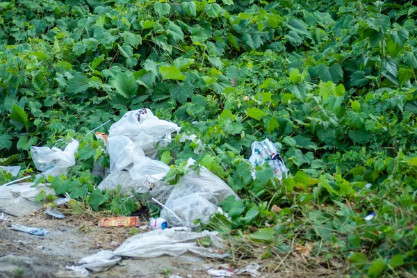 Inorganic waste collected in nature. A close-up view of inorganic waste ...