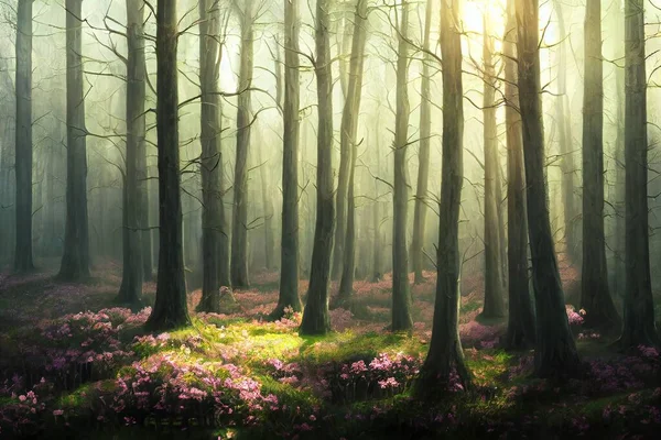 Soft forest background Stock Photos, Royalty Free Soft forest ...