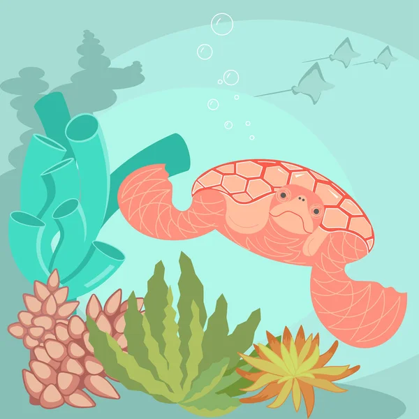 Fauna de flora marina imágenes de stock de arte vectorial | Depositphotos