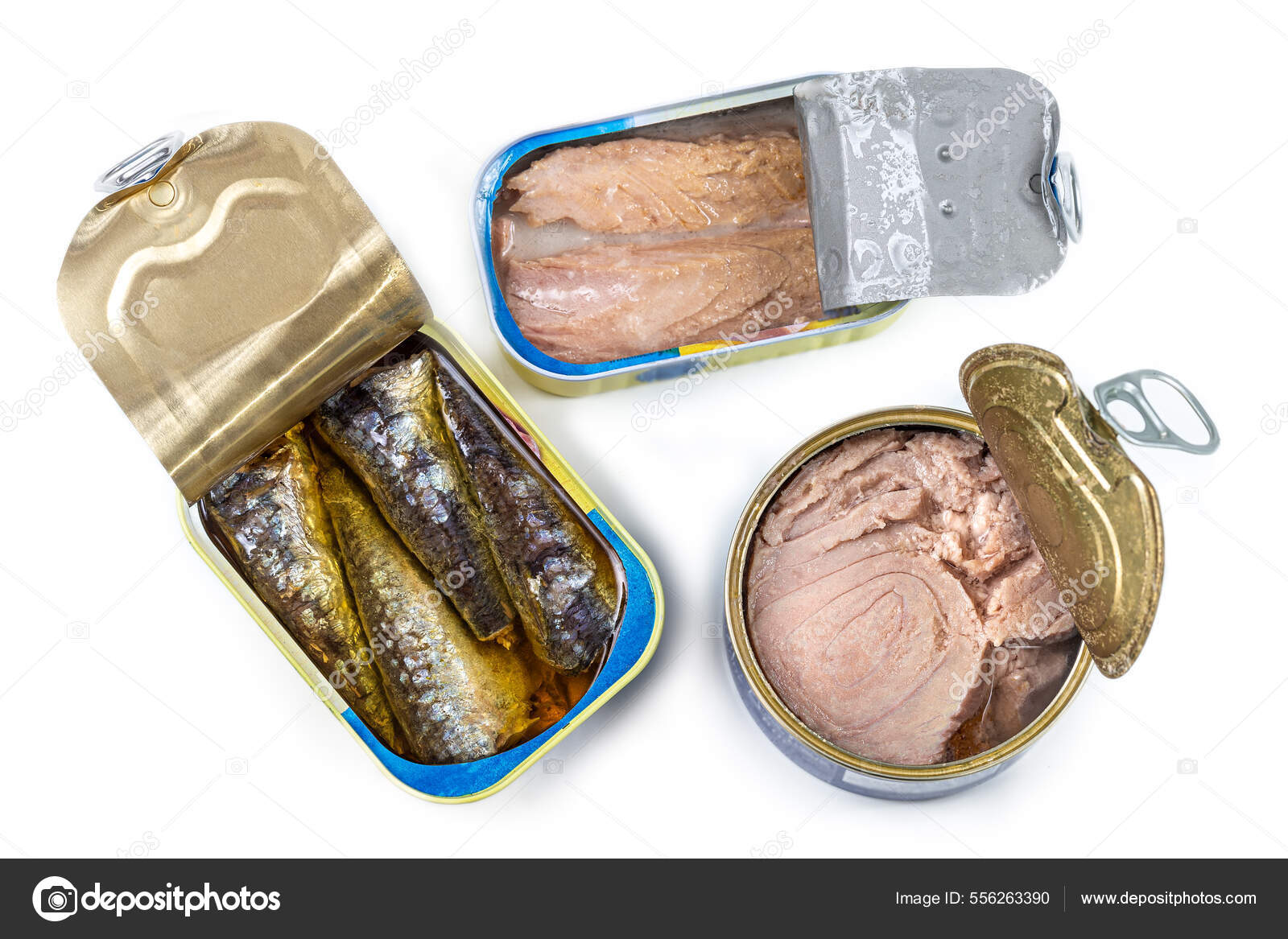 Canned fish, image of several types of fish in various oils marketed ...
