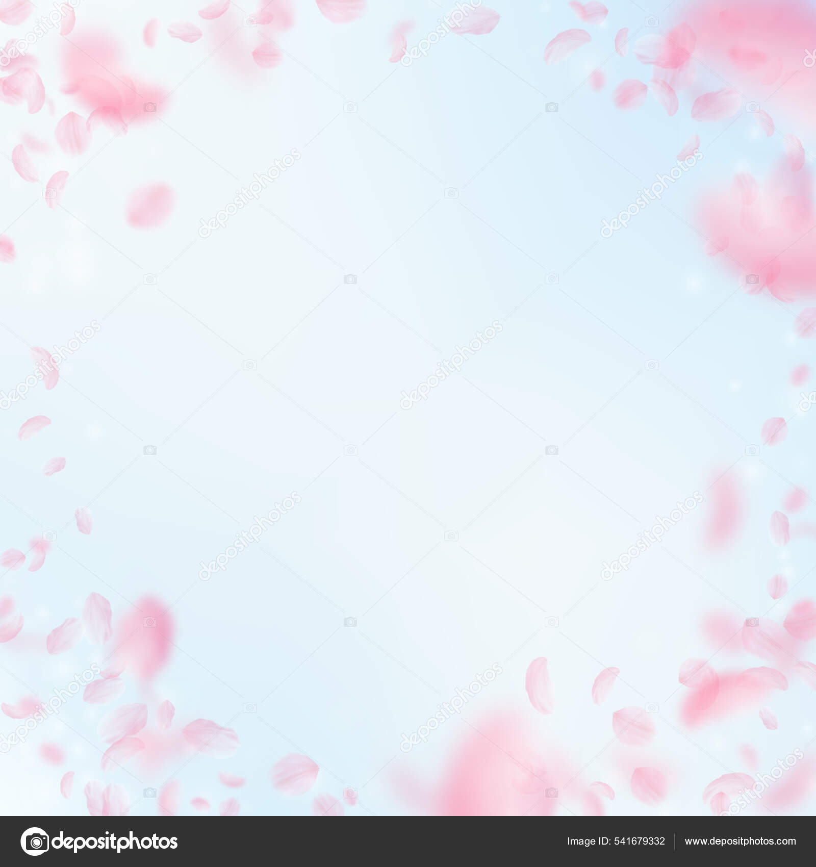 Sakura Petals Falling Romantic Pink Flowers Vignette Flying Petals Blue ...