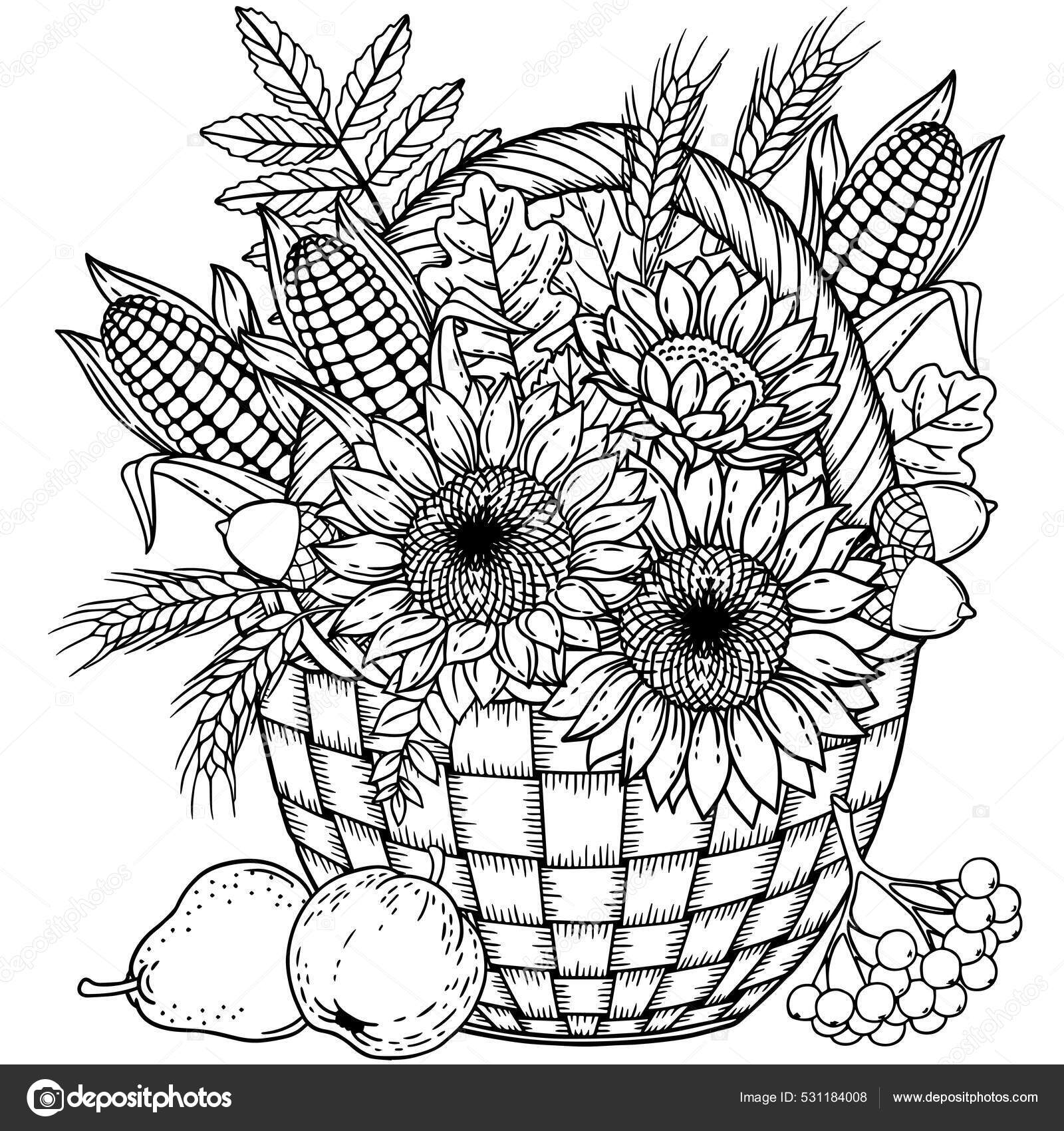 Autumn Harvest Basket Thanksgiving Day Vector Coloring Page Book Adult ...