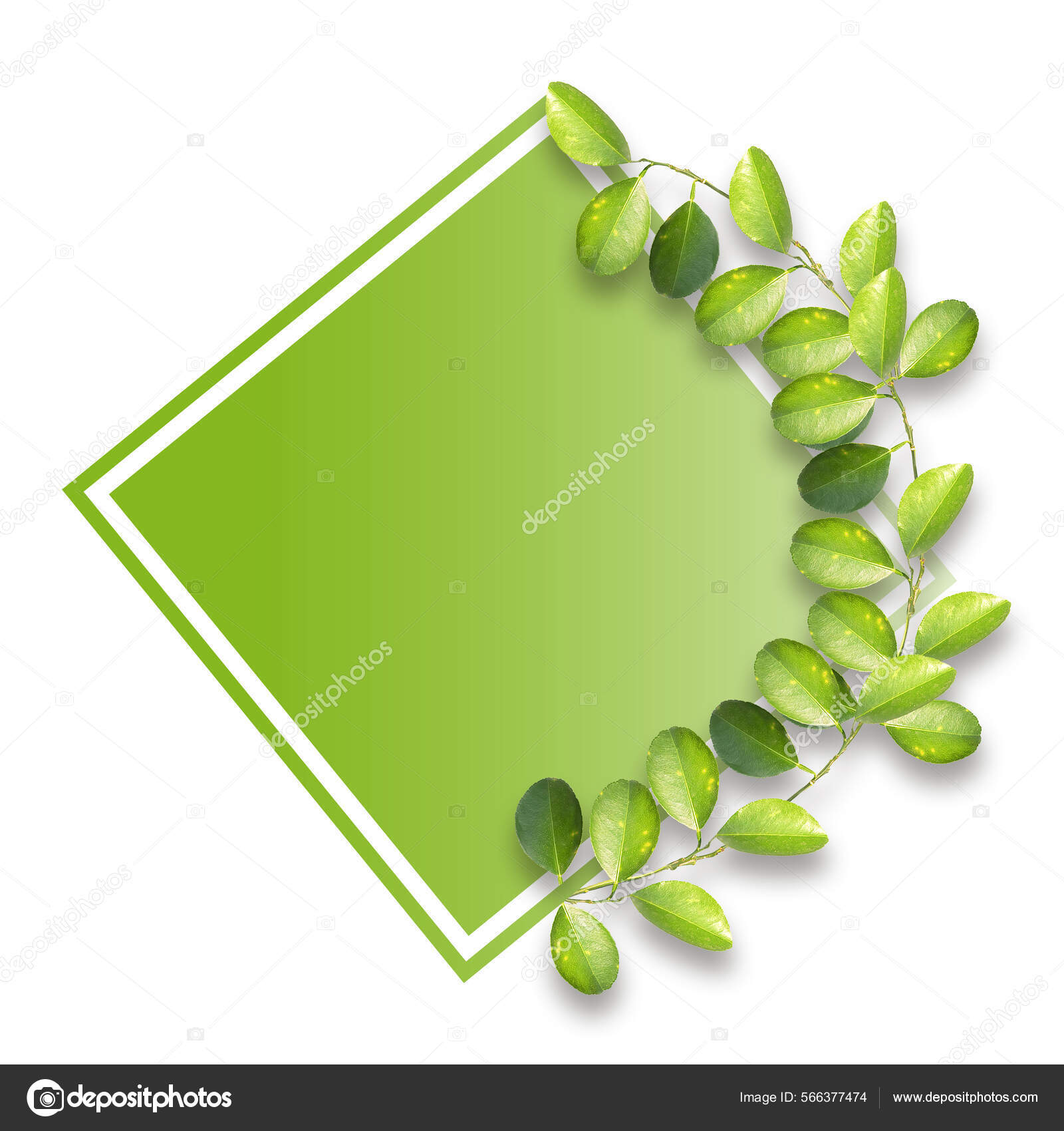 Beautiful Square Frame Green Leaves Natural Concept — Stock Photo ...