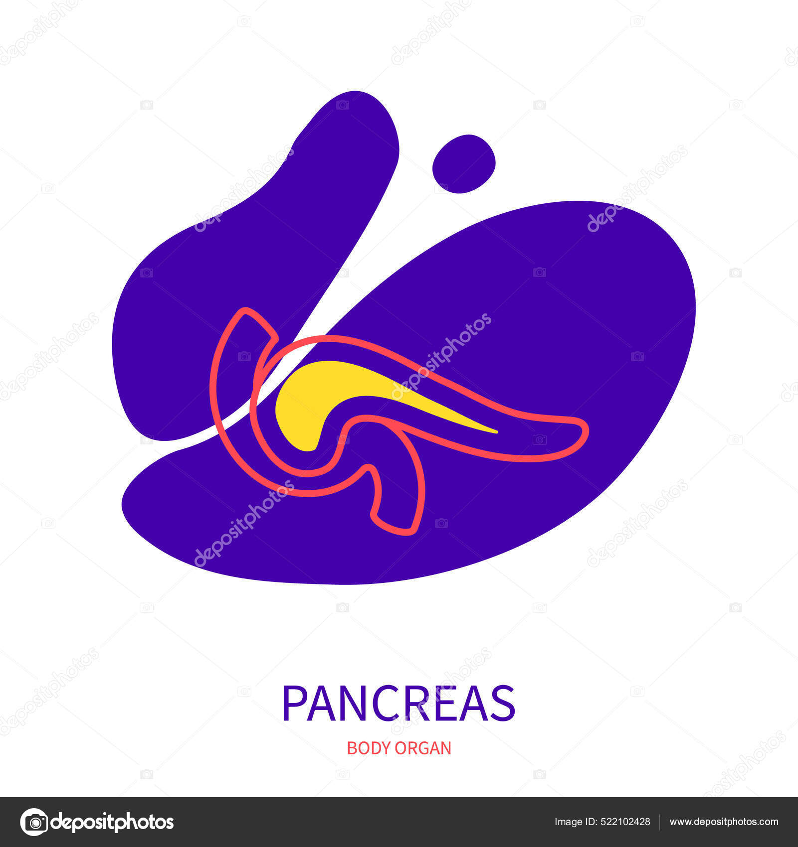 Pancreas endocrine and digestive systems organ outline icon Stock ...